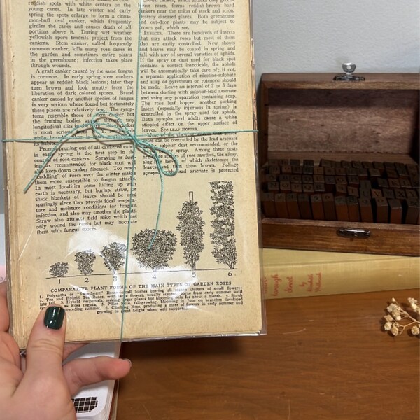 100 Vintage Library Catalog Cards, Random Assortment | Authentic ...