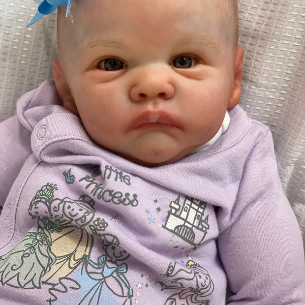 Reborn Doll Pose N' Cuddle Body Reggiesdolls Pre Stuffed All Sizes Free ...