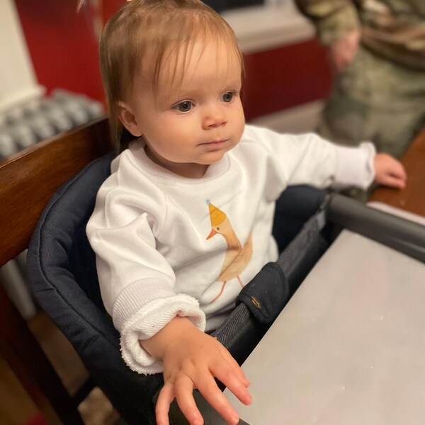 Silly Goose Birthday Shirt, Silly Goose Birthday, Goose Shirt, Goose ...