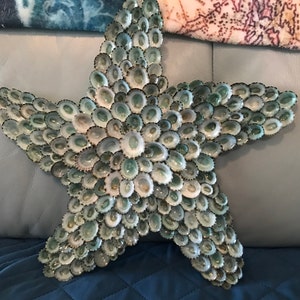 25 to 500 Limpet Shells Seashells Aqua Blue Teal Green Limpet Small ...