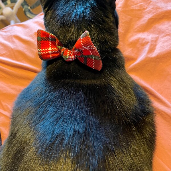 Cat Collars THISTLE Handmade Breakaway Soft Cat Collar - Etsy