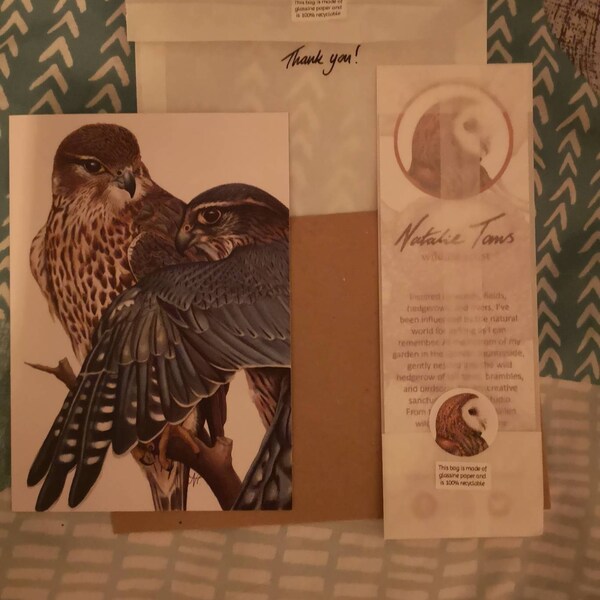 CARD Merlin Falcons Cornish Artist Red 67 Wildlife Art Bird of Prey ...