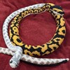 Ball Python Snake Crochet Pattern, Stuffed Animal Pattern, PDF Download ...
