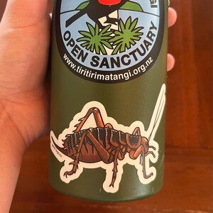 The Kingfish Sticker, New Zealand Sticker, NZ Sticker - Etsy