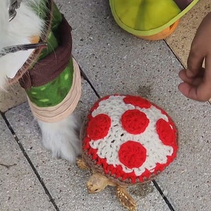 Bridesmaid Dress Crochet Costume for Turtles/ Tortoises - Etsy