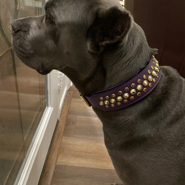 Luxury Big Dog Collar With Spikes 3 Inch Width - Etsy
