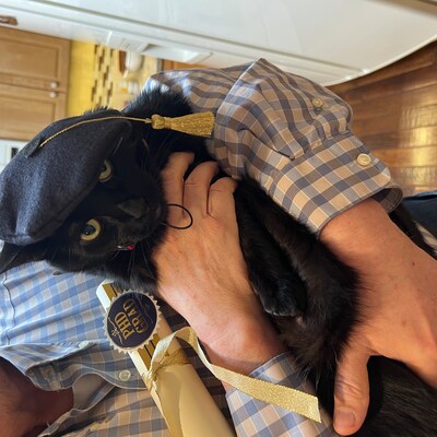 Marine Captain Mini Hat Cat Captain Hat Original Design Pet Costume Pet ...