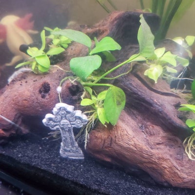 Coffin Casket Spooky Moss Mini Cemetery Planter Halloween - Etsy