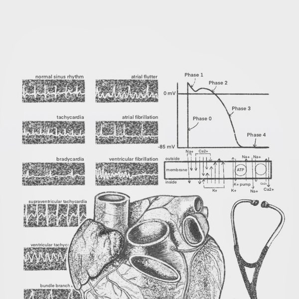 BUNDLE - 3 Neuro Wallpapers in One! - Etsy