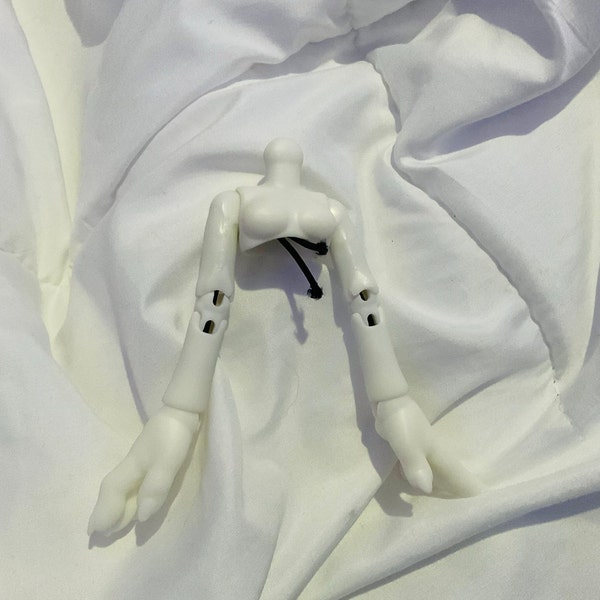 Sharky Kabbit BJD Base: 3D Printed Doll .STL (digital Download) - Etsy