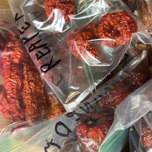 Trinidad Moruga Scorpion Pepper Dried Pods 15 Pods - Etsy