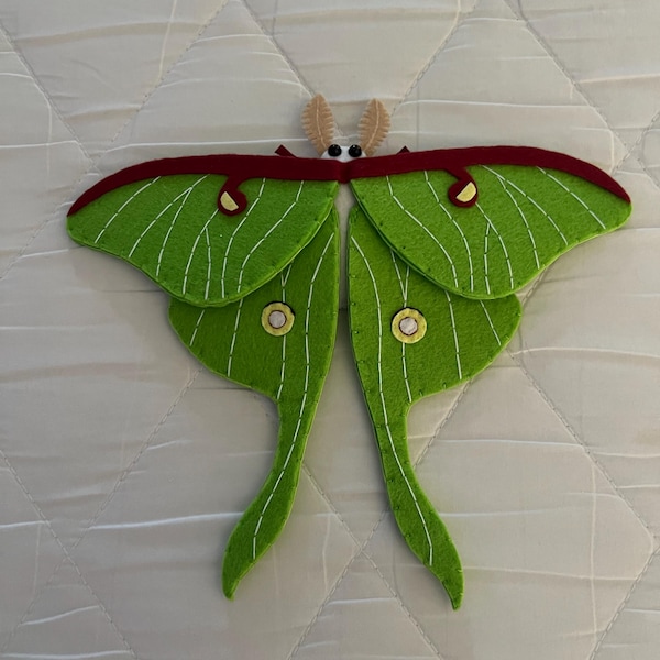 Rubber Ducky Isopod From Felt Realistic Roly Poly Duck Felted Isopod ...