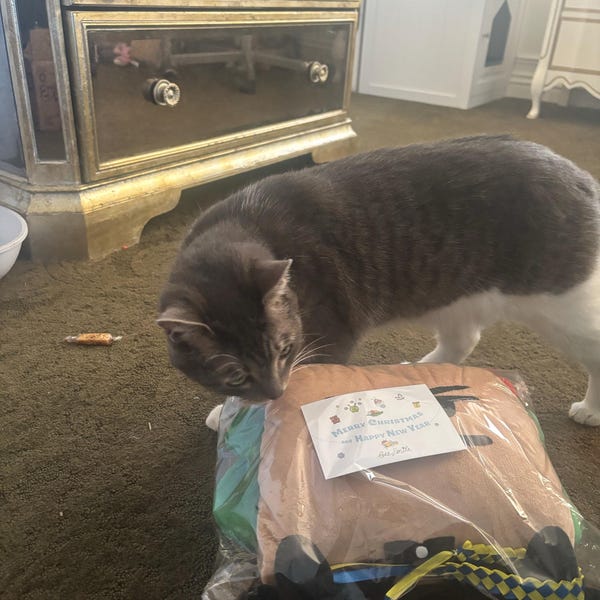 Custom Plush Toy Just Like Taco From Inanimate Insanity Inspired ...