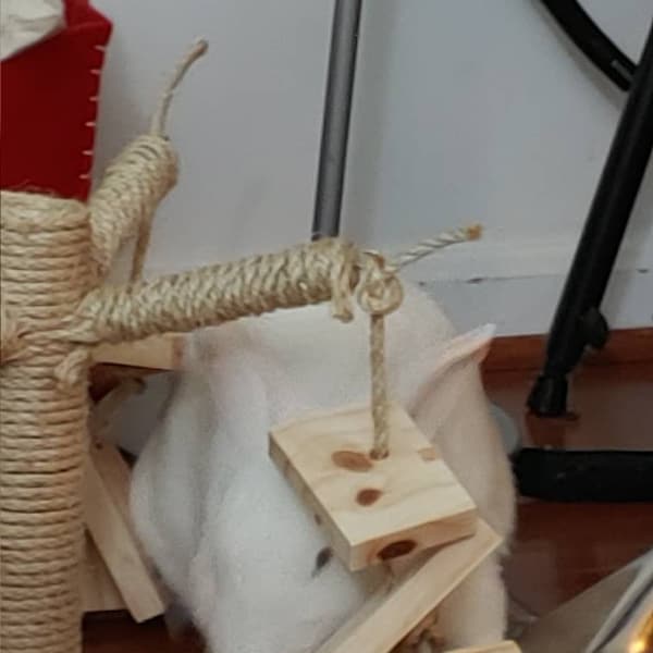 Tree Rabbit Toy (natural) - Etsy