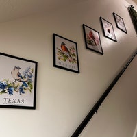 Puerto Rico National Flower, Flower Market Art Print, Flor De Maga 1960 ...