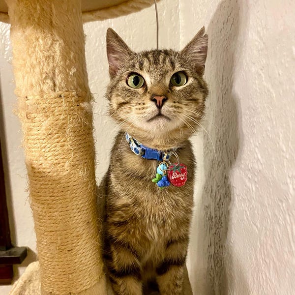 QR Code / 2 Codes / Social Media Sign / QR Code Sign / SIZE 4.5x5.25 - Etsy