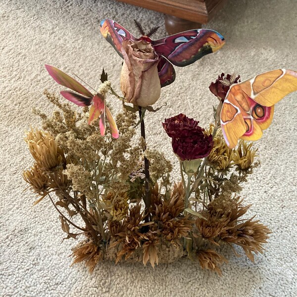 Giant Paper Atlas Moth for Halloween, Double-sided Butterfly Paper-cut ...