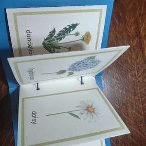 Bird Shadow Matching Cards. Montessori Educational Materials. Printable ...