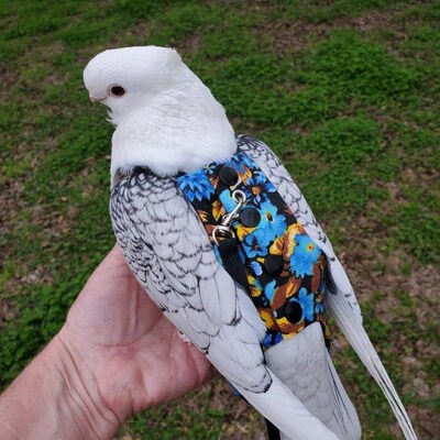 Pigeon & Dove Pants Gift Harness ribbon Length 38 - Etsy