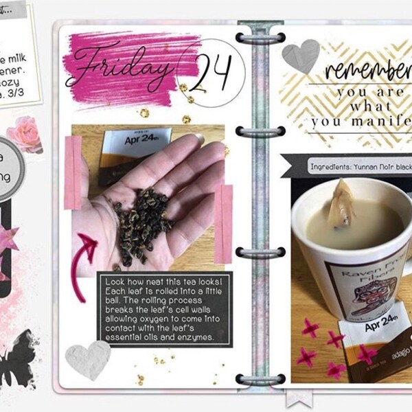 The Paper Chaser Collection by Luxbook, Digital Planner Stickers ...