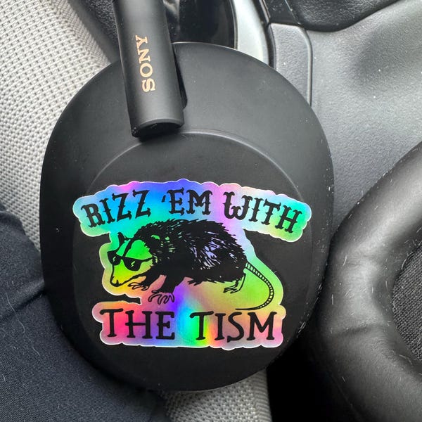 Rizz Em With the Tism Waterproof Weatherproof Vinyl Sticker Decal - Etsy