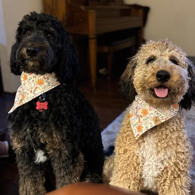 Fall Dog Bandana Plaid Dog Gift Orange Dog Bandana Thanksgiving Dog ...