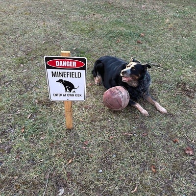 Crab Shack Sign, Beach Crab Shack, Sill Crackin Sign, Crab Claws, Sign ...