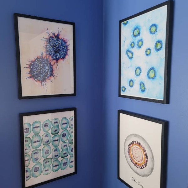 Staphylococcus Aureus, Bacteria Art, Bacteria, Science Art, Science ...