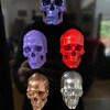 5 Piece Human Skull Magnets - Etsy