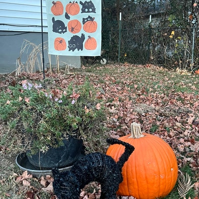 Zero Fox Given - Etsy