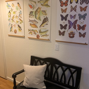 Smokey Bear Tree ID Poster - Etsy