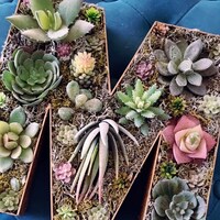 Ivory Wedding Decor Giant Ivory Letters Large Cream Name - Etsy