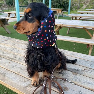 Waterproof Thick Dog Snood Swimming Cap for Dog Dog Hat - Etsy