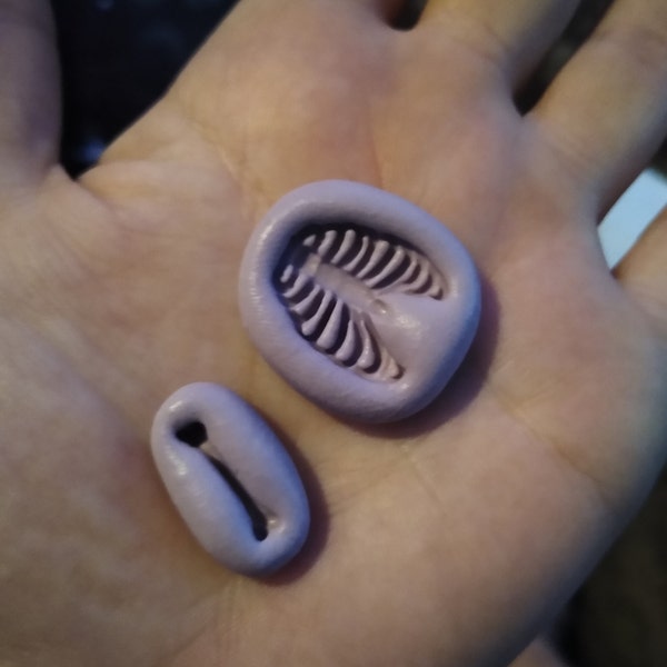 Small Human Body Parts/organs Silicone Molds - Etsy