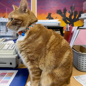 Retro Checkered Cat Collar With Bell, Colorful Male Cat Breakaway ...