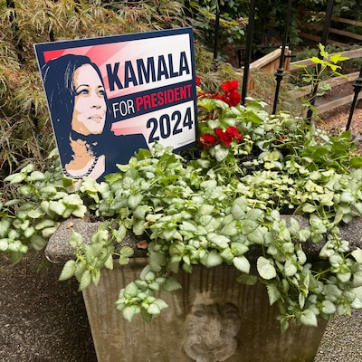 White Supremacy is Terrorism Bumper Sticker // 6x4.5 // Protective ...