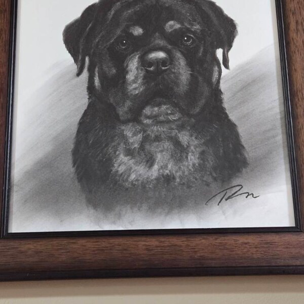 Pet Portrait Custom Charcoal | Pet Loss Gift | Dog Portrait Charcoal ...