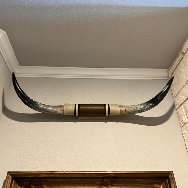 Steer Horns 2'5" - 2'11" Mounted LONGHORN Steer Horns BULL Horns Cow ...