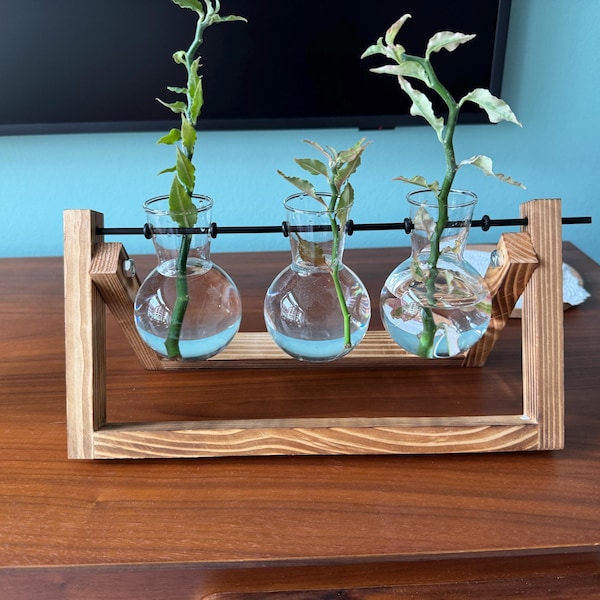 Plant Propagation Station for Plant Lovers Gift Set Plant Mom Home ...