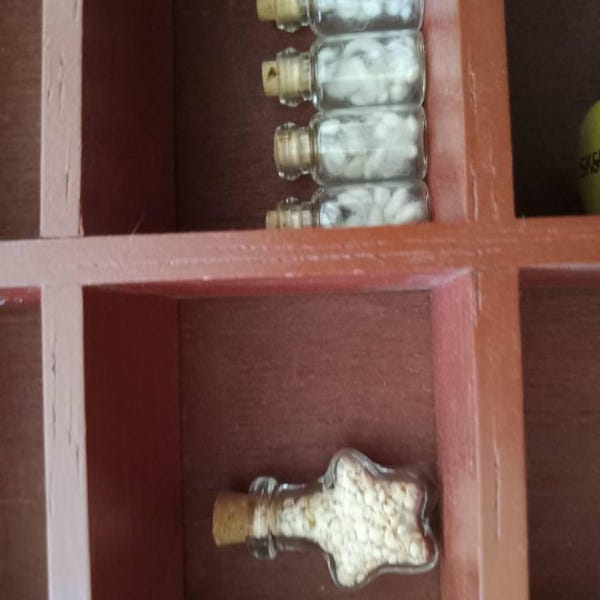 Real Moose Pellet in Glass Vial, Moose Poop, Animal Dung, Weird Gift ...