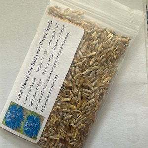 200 BLUE EYED GRASS western or Californian Sisyrinchium Bellum Flower ...