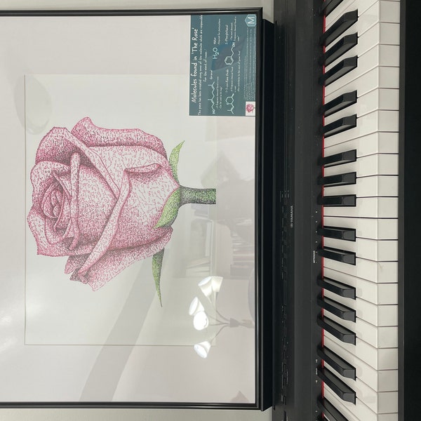 Conical Flask Plant Sticker Vinyl Sticker Science Sticker - Etsy