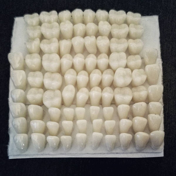 12 Card of Acrylic/resin Teeth, Shade A2 Size 22 - Etsy