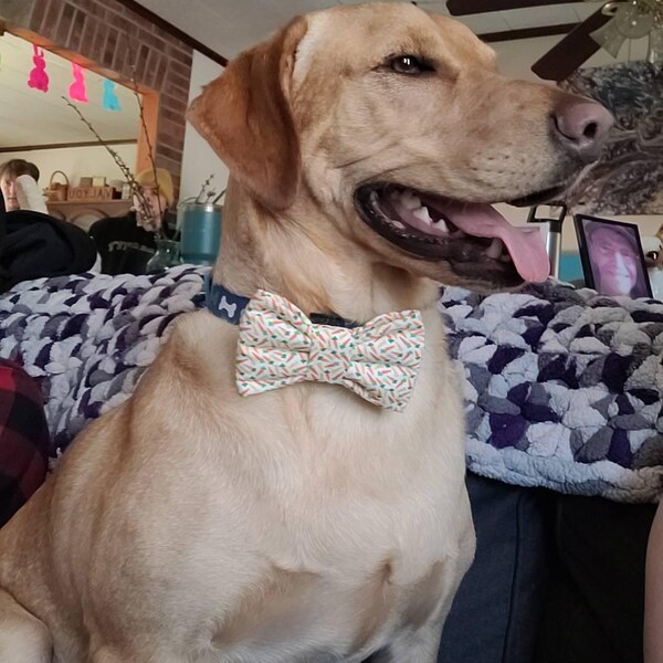 Dog Bow Ties. Palm Tree Dog Bow Tie, Cat Bow Ties, Gift, Bowties, Extra ...