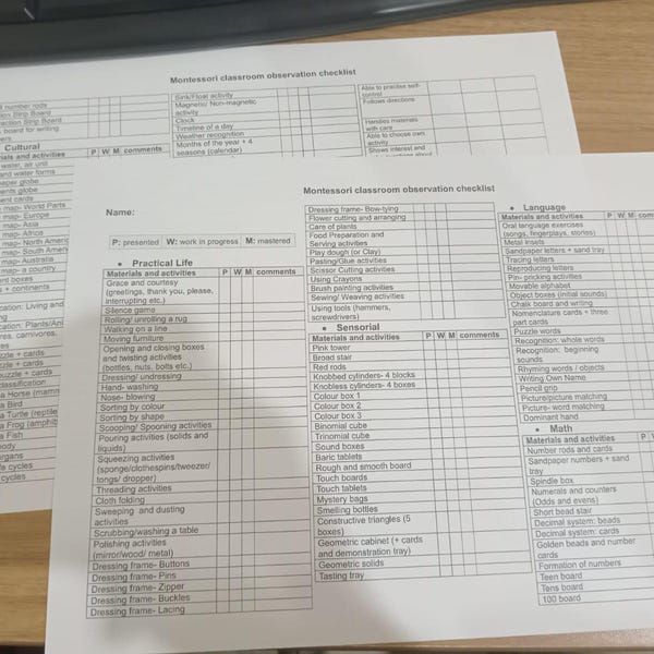 Montessori Classroom Observation Checklist: Primary Curriculum (PDF) - Etsy