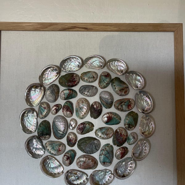 Red Abalone Art, Shell Wall Art, 3D Shell Art, Coastal Shell Art ...