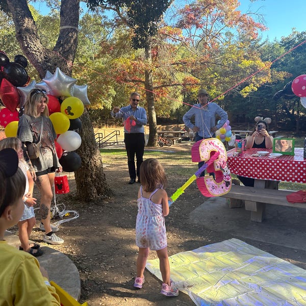 Cakey Cat Pinata. Gabby's Dollhouse Pinata - Etsy