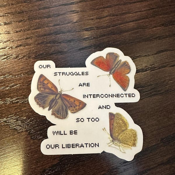 Interconnected Liberation Sticker - Clear Matte Vinyl Decal - Mutual ...