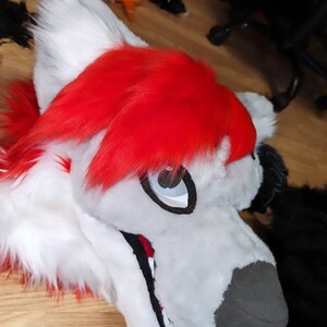 Ampwave Furry Art Base Ref Sheet - Etsy