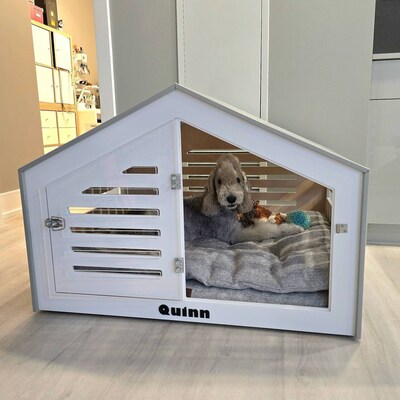 Fully Transparent Modern Dog and Cat House With Acrylic Sides Petso ...